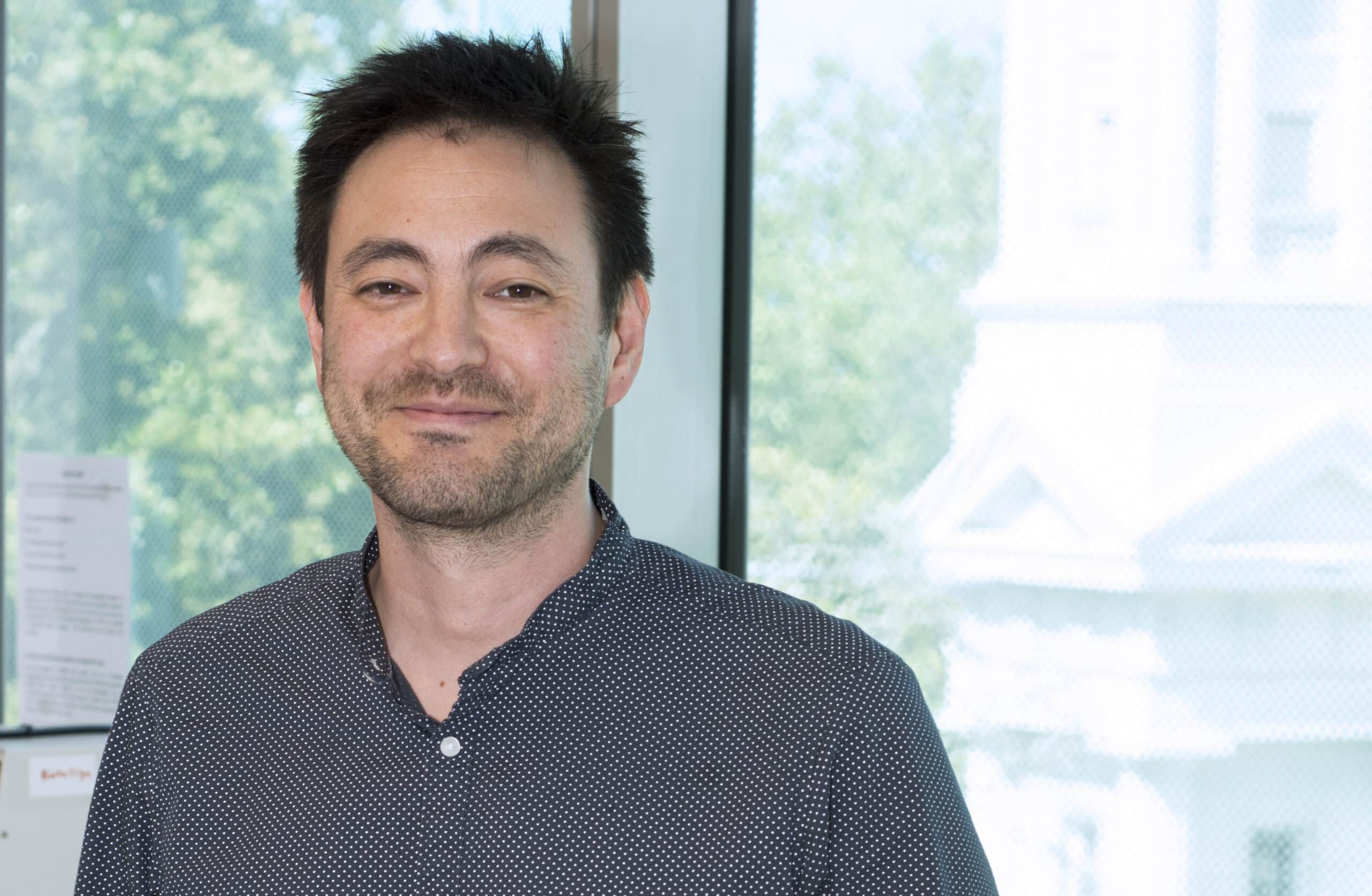 Professor Anthony Poole awarded Marsden grant to unravel evolutionary ...